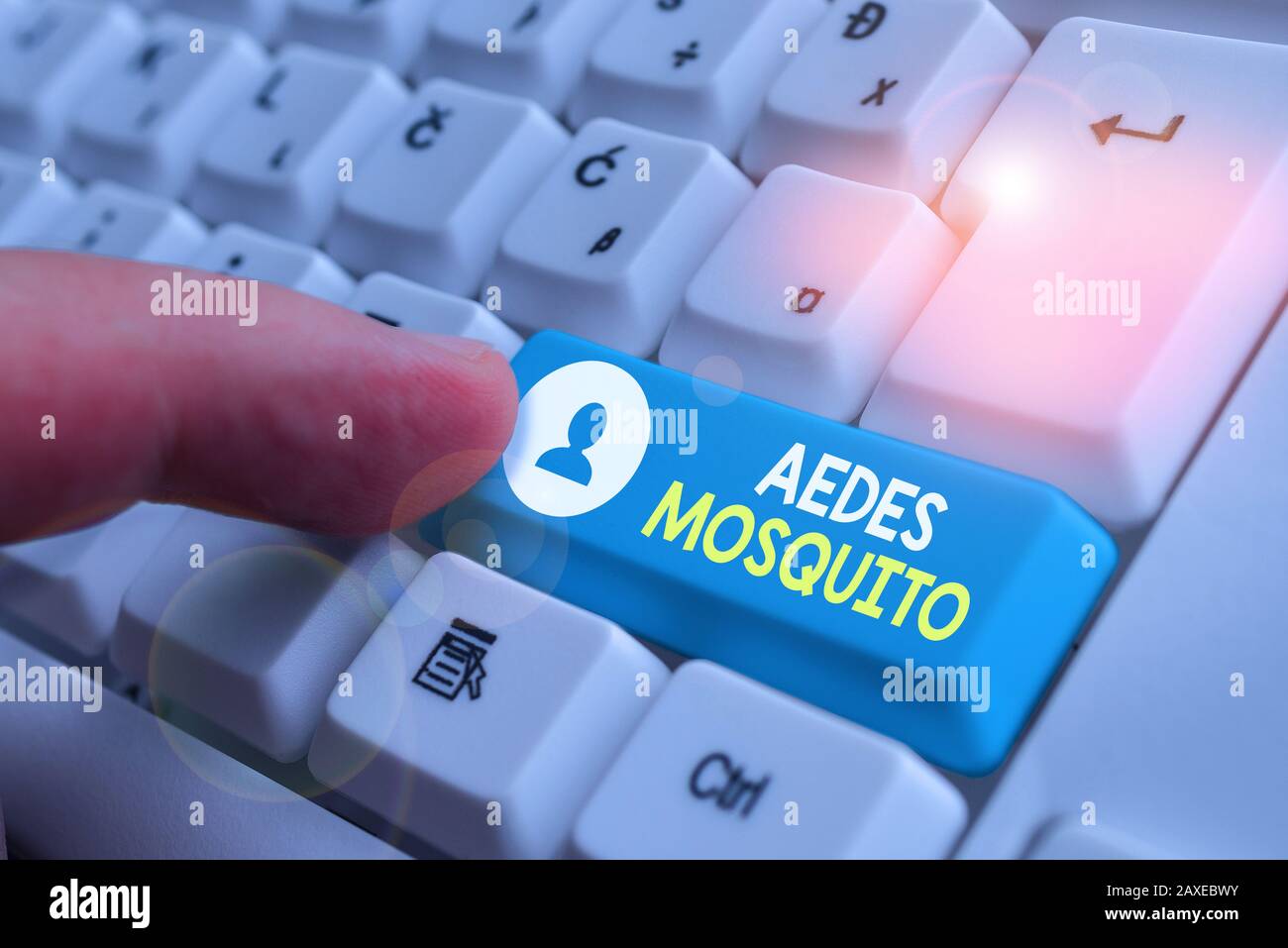 Handwriting text writing Aedes Mosquito. Conceptual photo the yellow ...