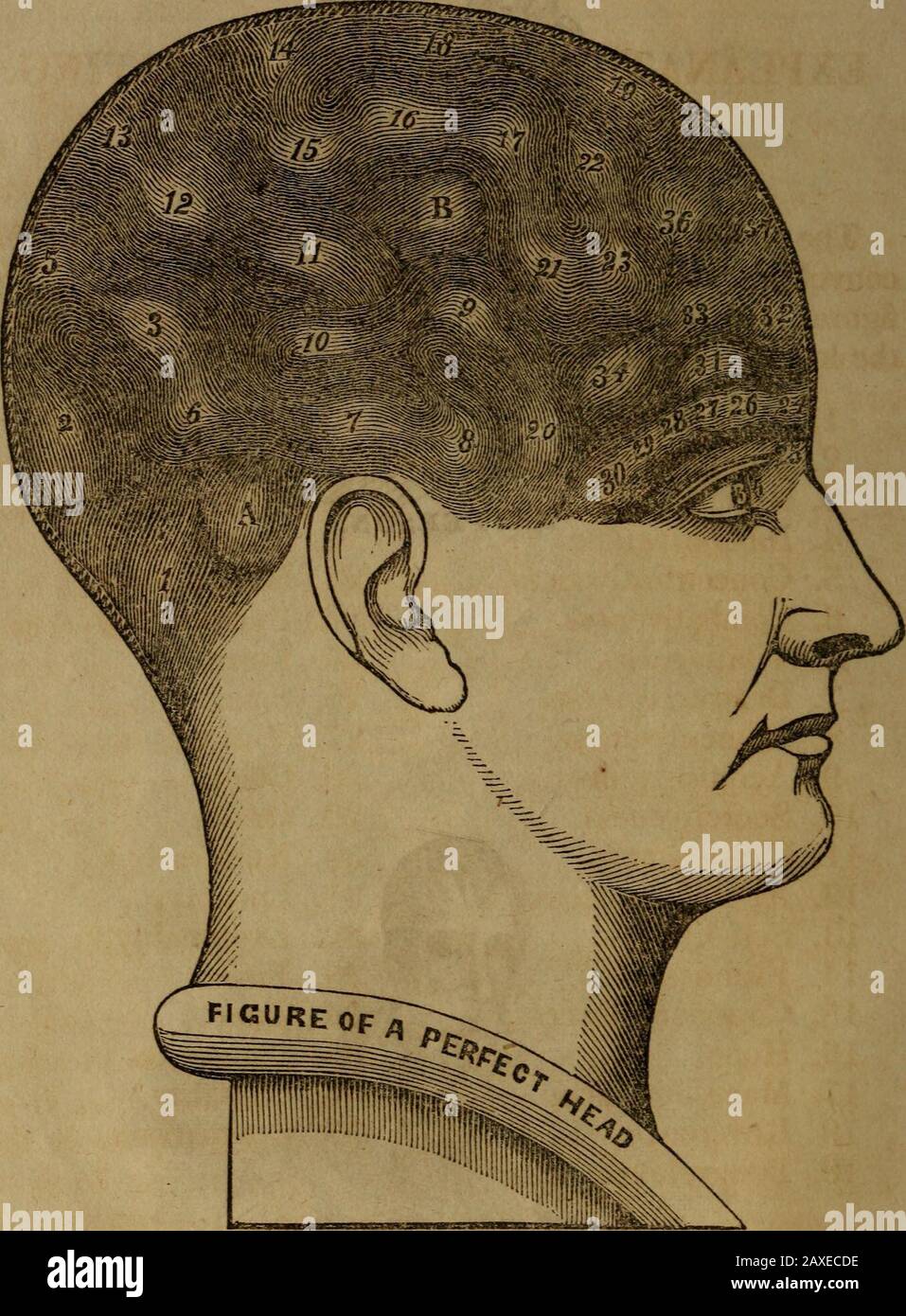 Concentrativeness hi-res stock photography and images - Alamy