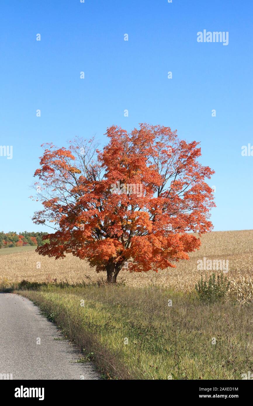 Beautiful road beside red hi-res stock photography and images - Alamy