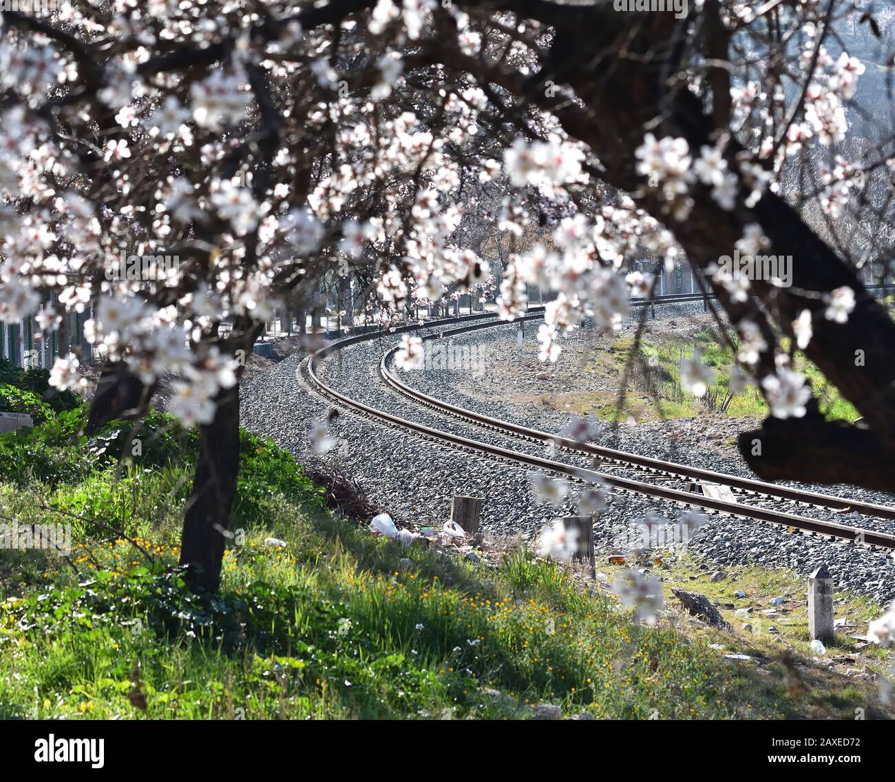 Curved train hi-res stock photography and images - Alamy