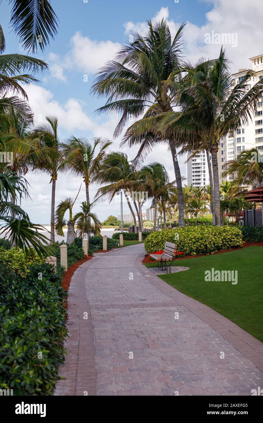 Pathway under palm trees in Marco Island, JW Marriott resort close to ...