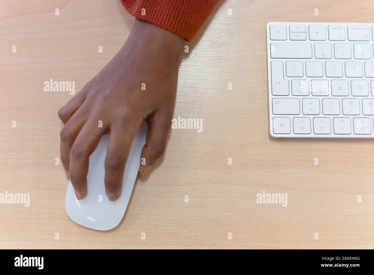 Beautiful female muslim african american IT student working at her ...