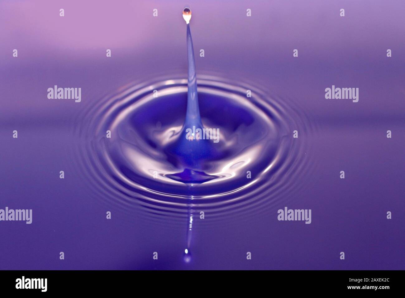 Water drops hitting surface of water Stock Photo - Alamy