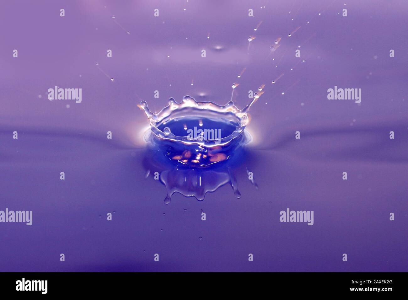 Water drops hitting surface of water Stock Photo - Alamy