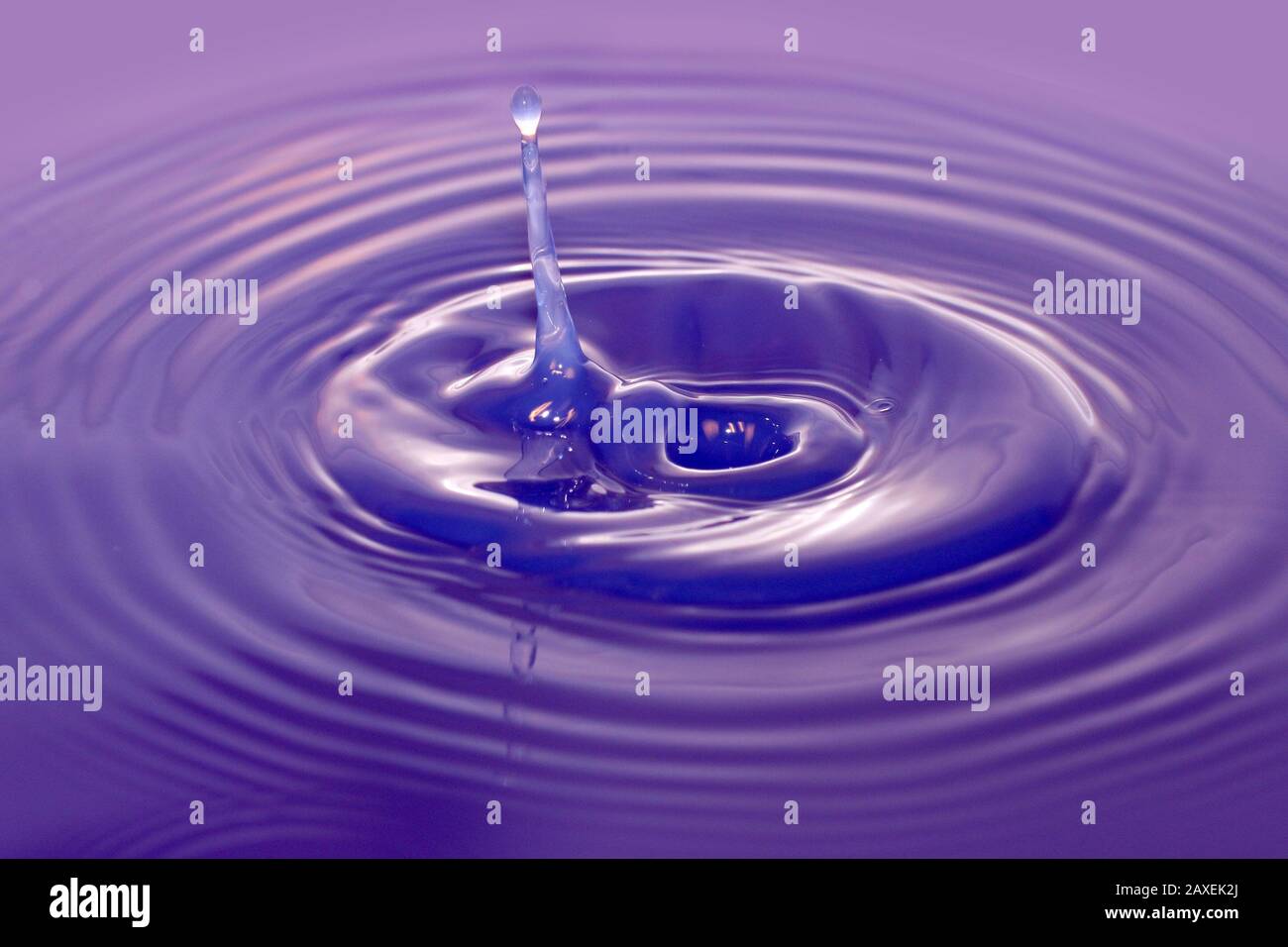 Water drops hitting surface of water Stock Photo - Alamy