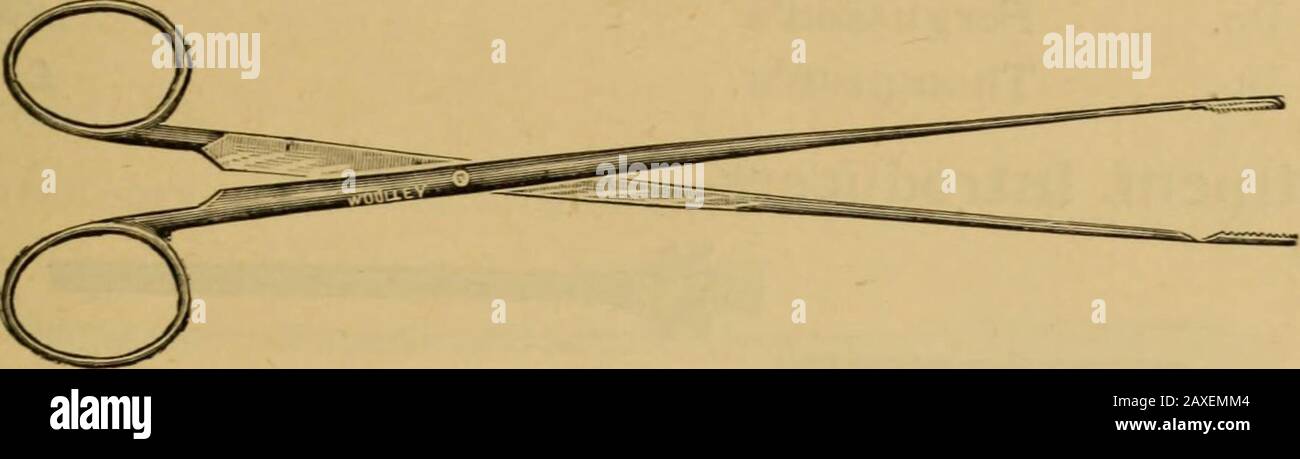 Lithotomy forceps hi-res stock photography and images - Alamy