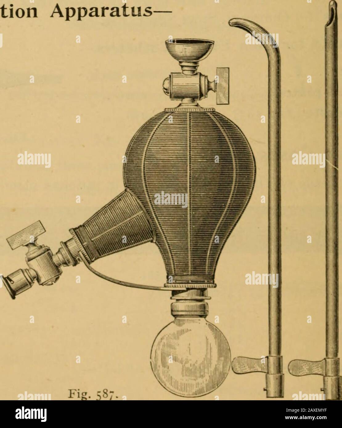 Lithotomy forceps hi-res stock photography and images - Alamy