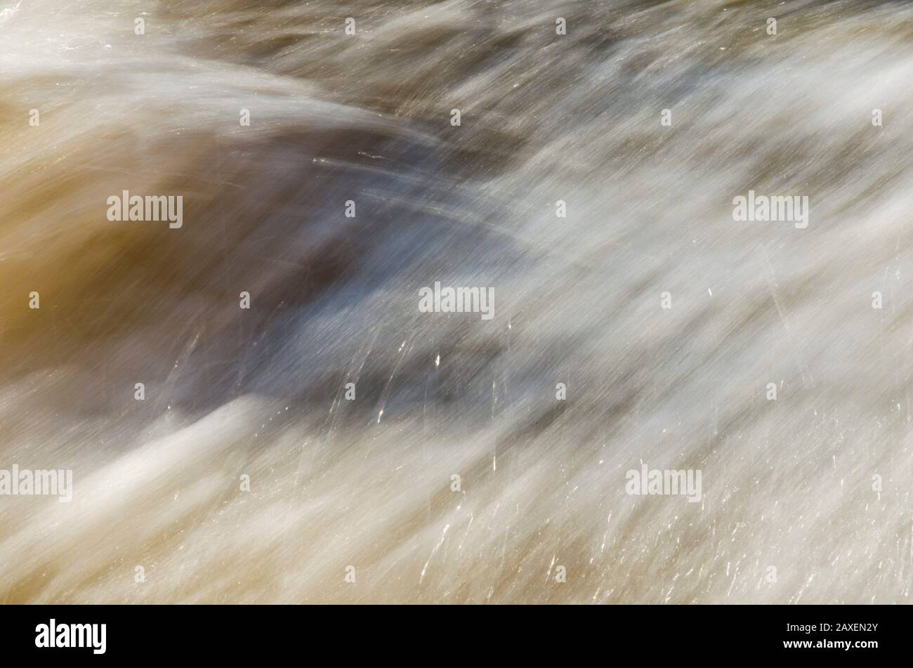 Fluid in motion hi-res stock photography and images - Alamy