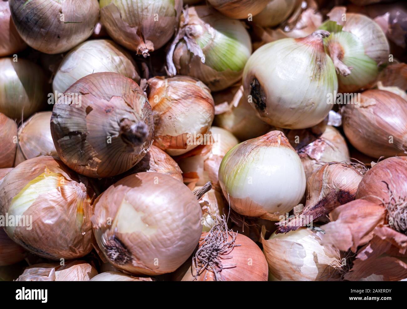 Fresh whole Onions at the market; background Stock Photo - Alamy