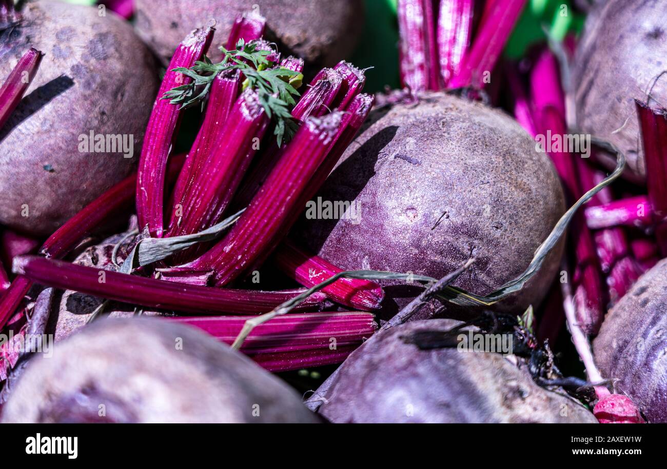Fresh harvested beetroot close up; Food Background Stock Photo - Alamy