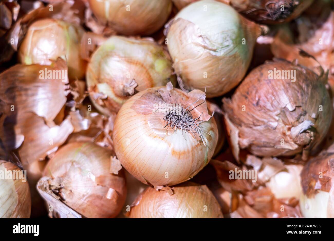 Fresh whole Onions at the market; background Stock Photo - Alamy