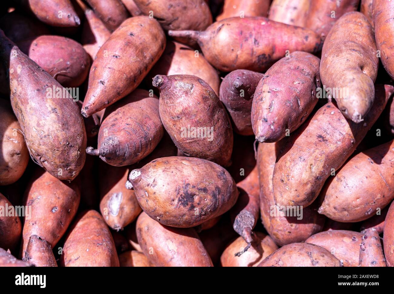 Pile of sweet potato or Kumara background Stock Photo - Alamy