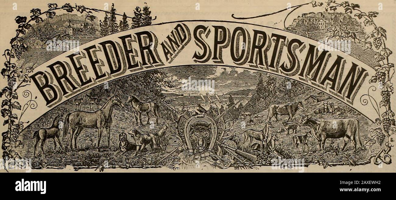 Breeding certificate hi-res stock photography and images - Alamy