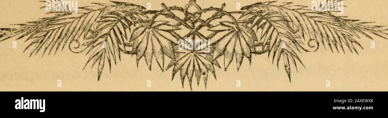 Kji kji hi-res stock photography and images - Alamy