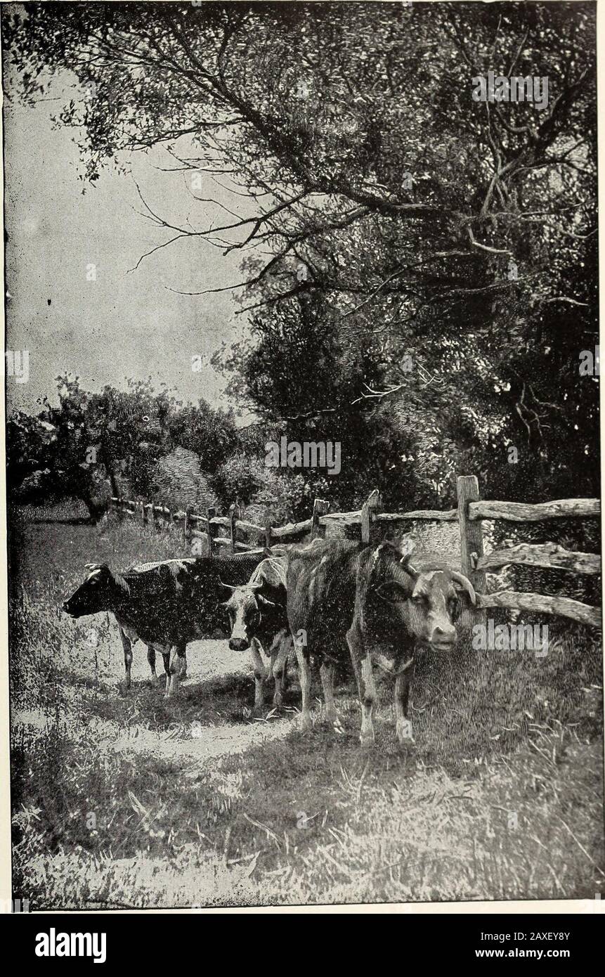 James graham building hi-res stock photography and images - Alamy