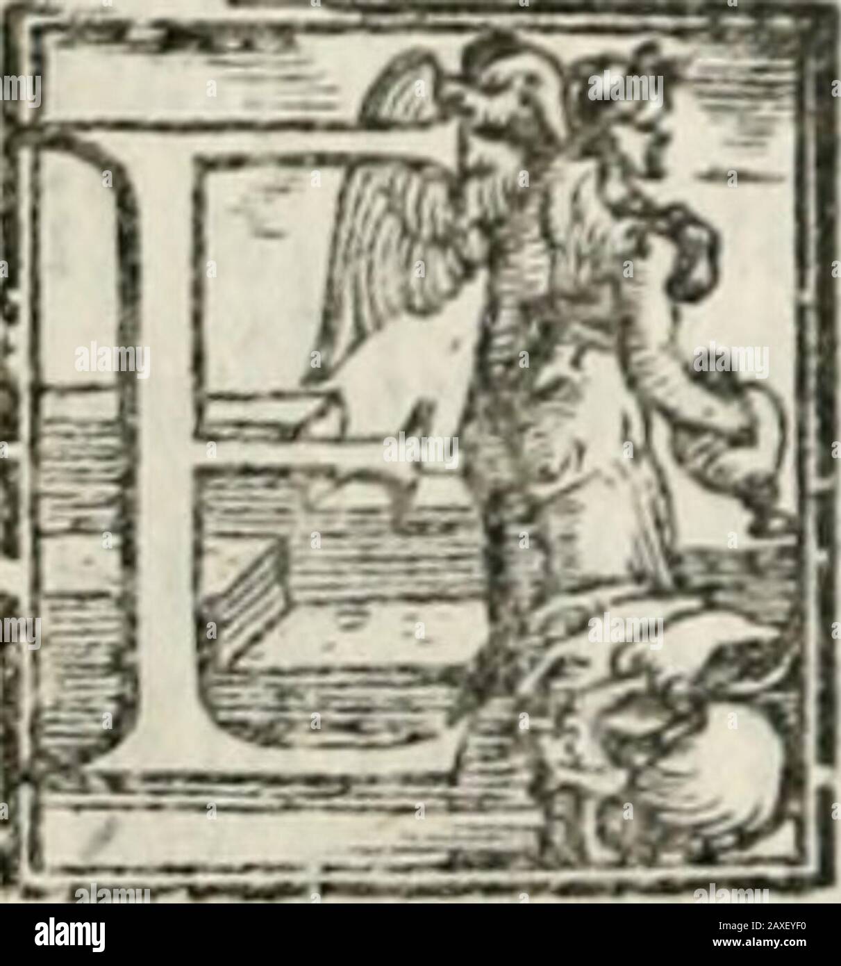 Fiume delle pecore hi-res stock photography and images - Alamy