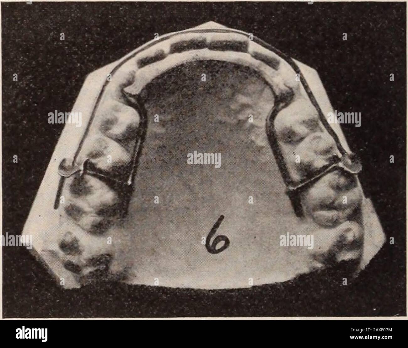 Dental review; devoted to the advancement of dentistry. . s bite ...