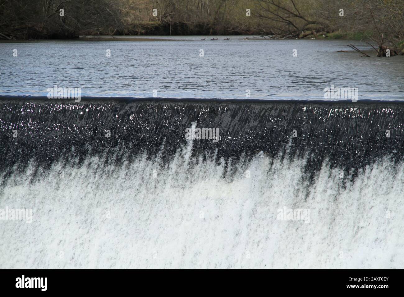 Rockfish river hi-res stock photography and images - Alamy