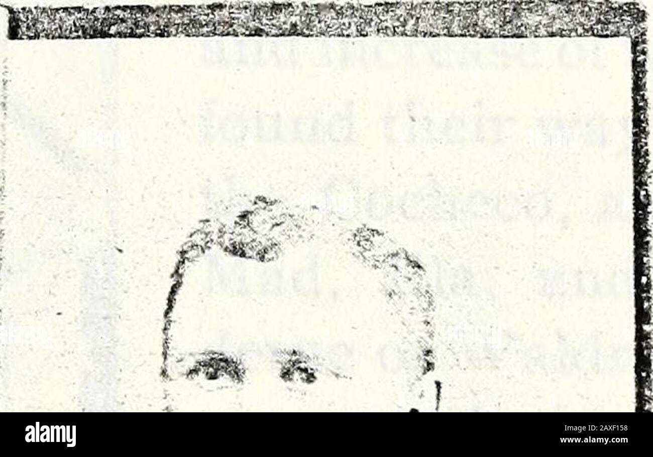 Pearl ponds hi-res stock photography and images - Alamy