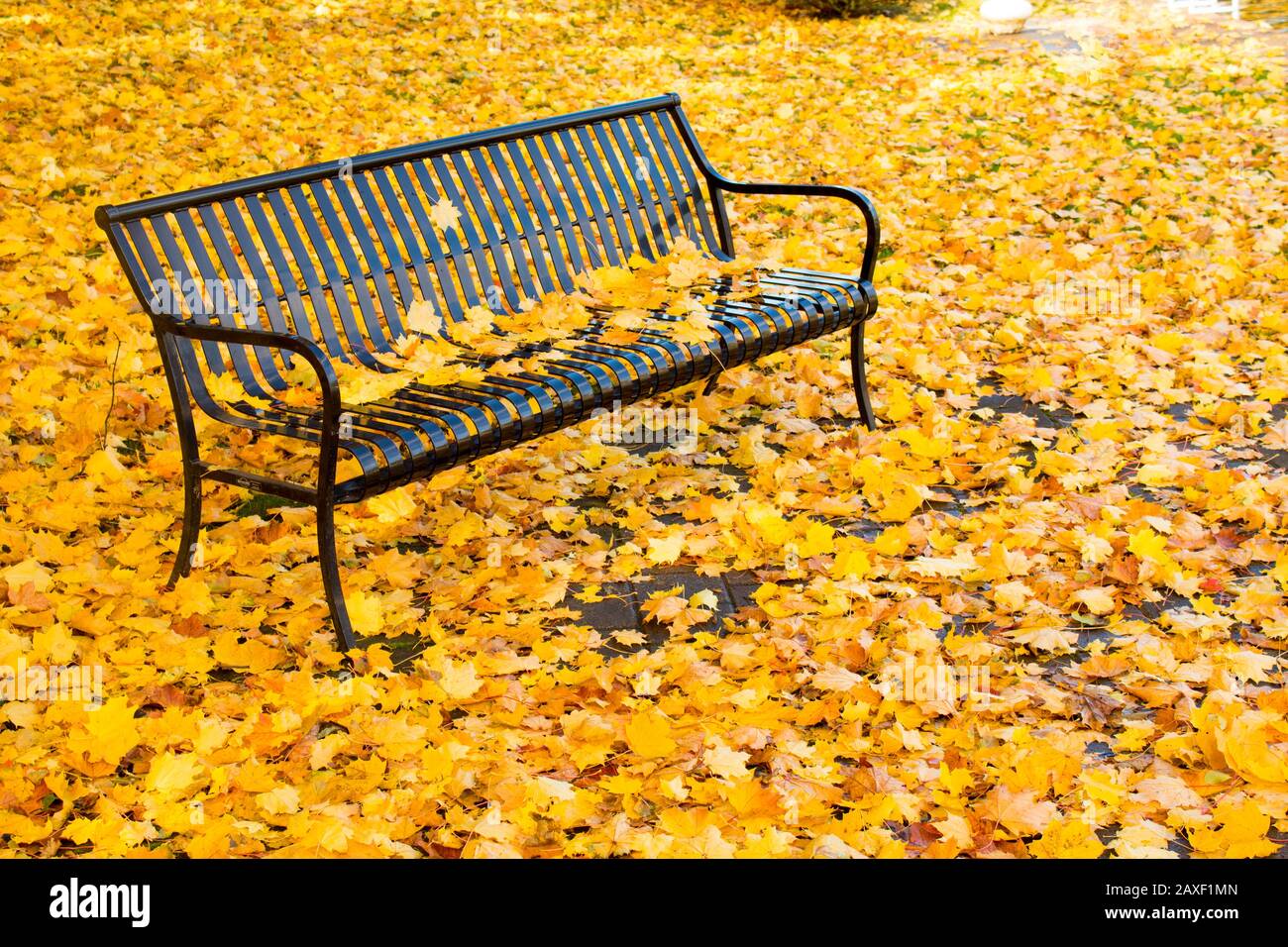 Autumn Trail with wooden railing near river Stock Photo - Alamy