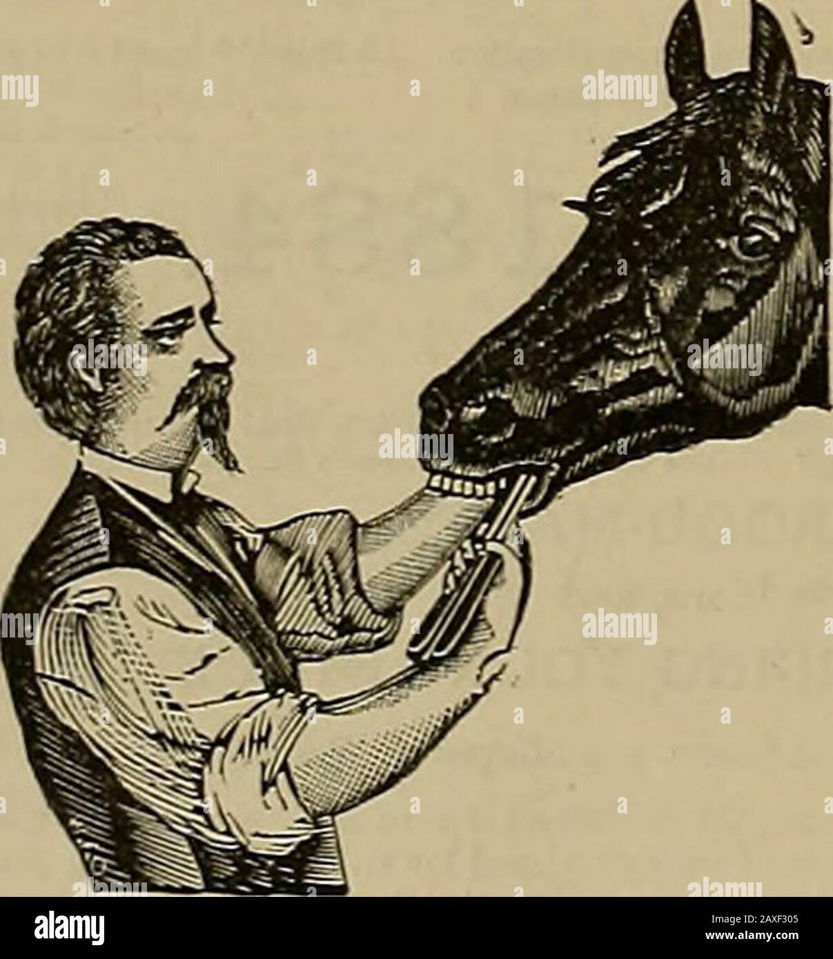 Camp capitola hi-res stock photography and images - Alamy