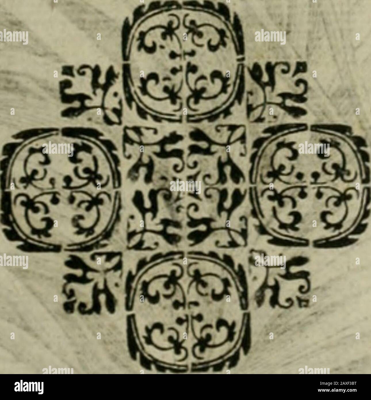 Exactissima descriptio rariorum quarundam plantarum, que continentur ...