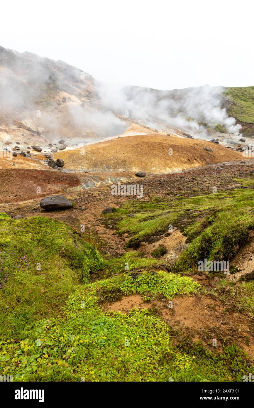 Iceland’s steaming Geo Thermal area Stock Photo - Alamy