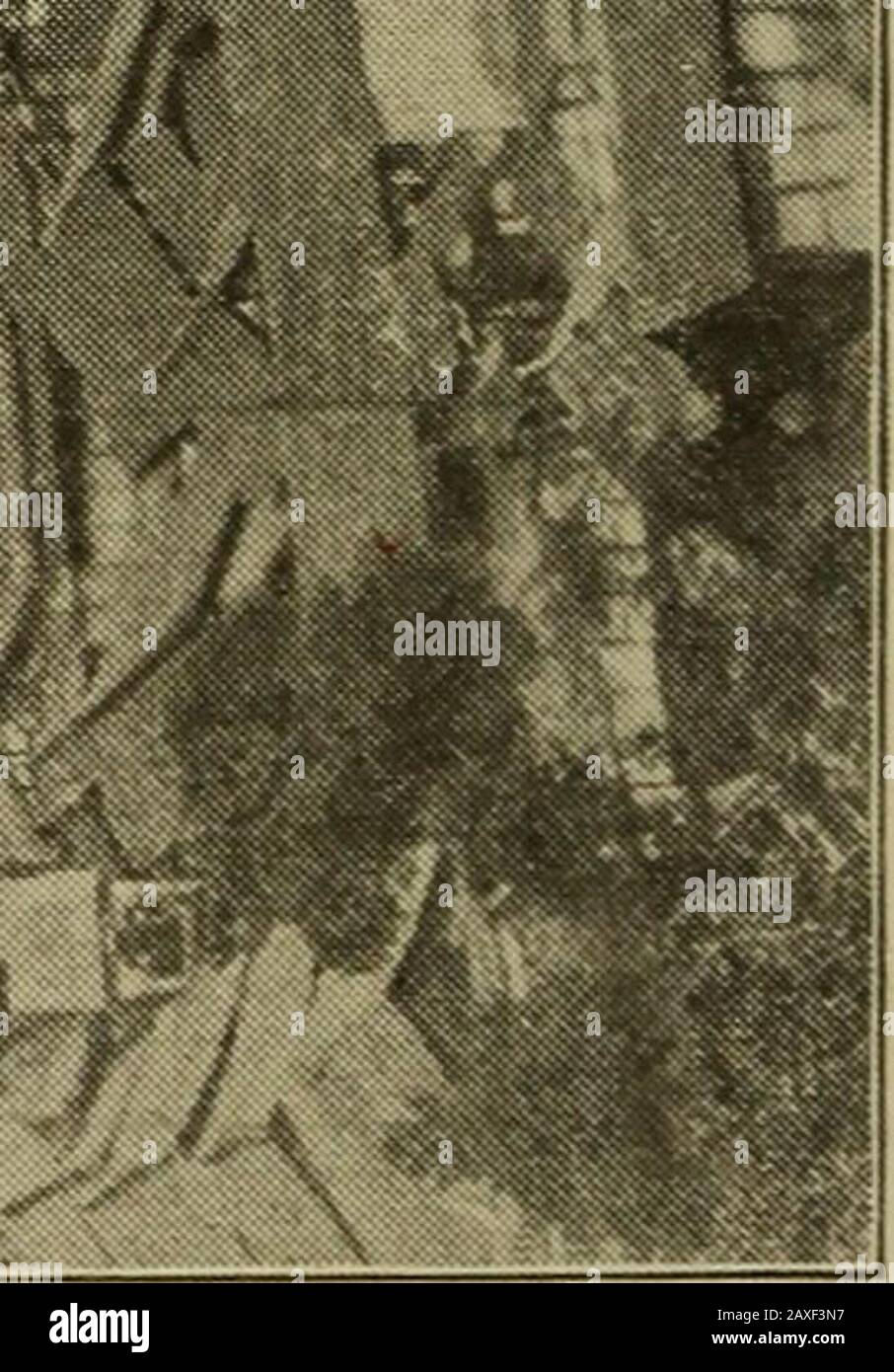 Openshaw hi-res stock photography and images - Alamy