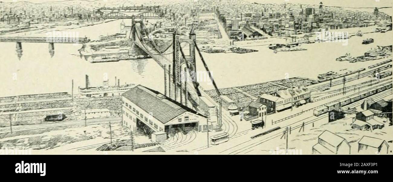 Andrew Carnegie Steel Company