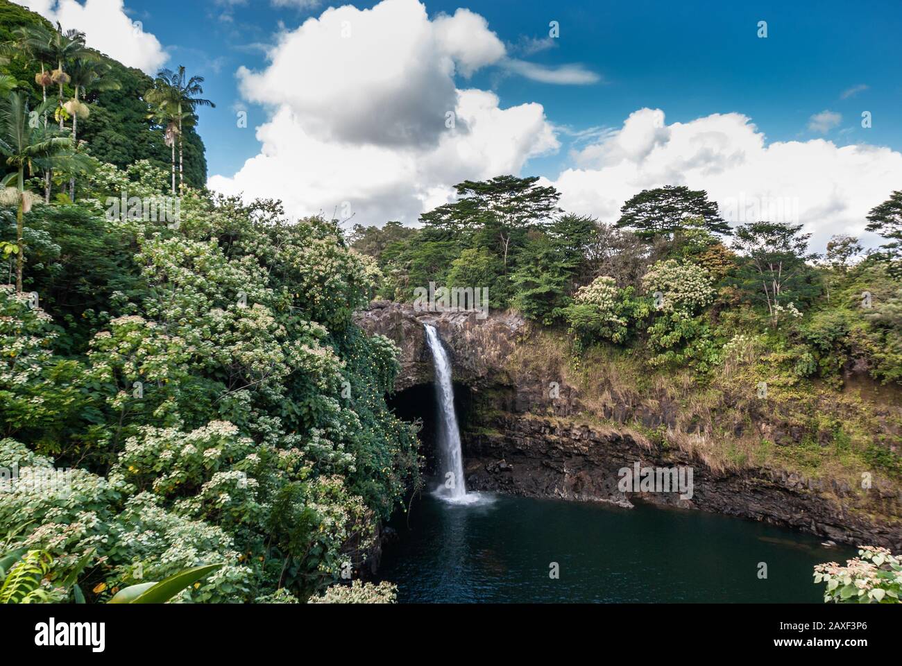 Big su hi-res stock photography and images - Alamy