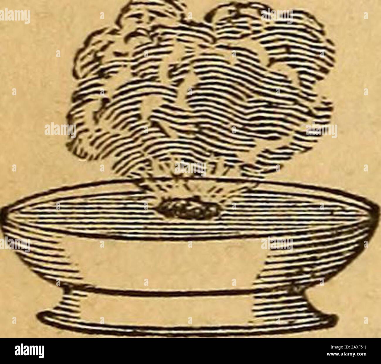 Magnesium Burning In Water