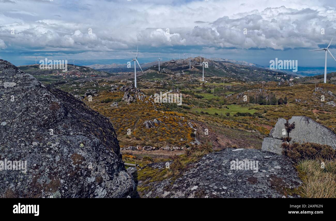 Wide angle shot of several wind fans on a large grassland during ...