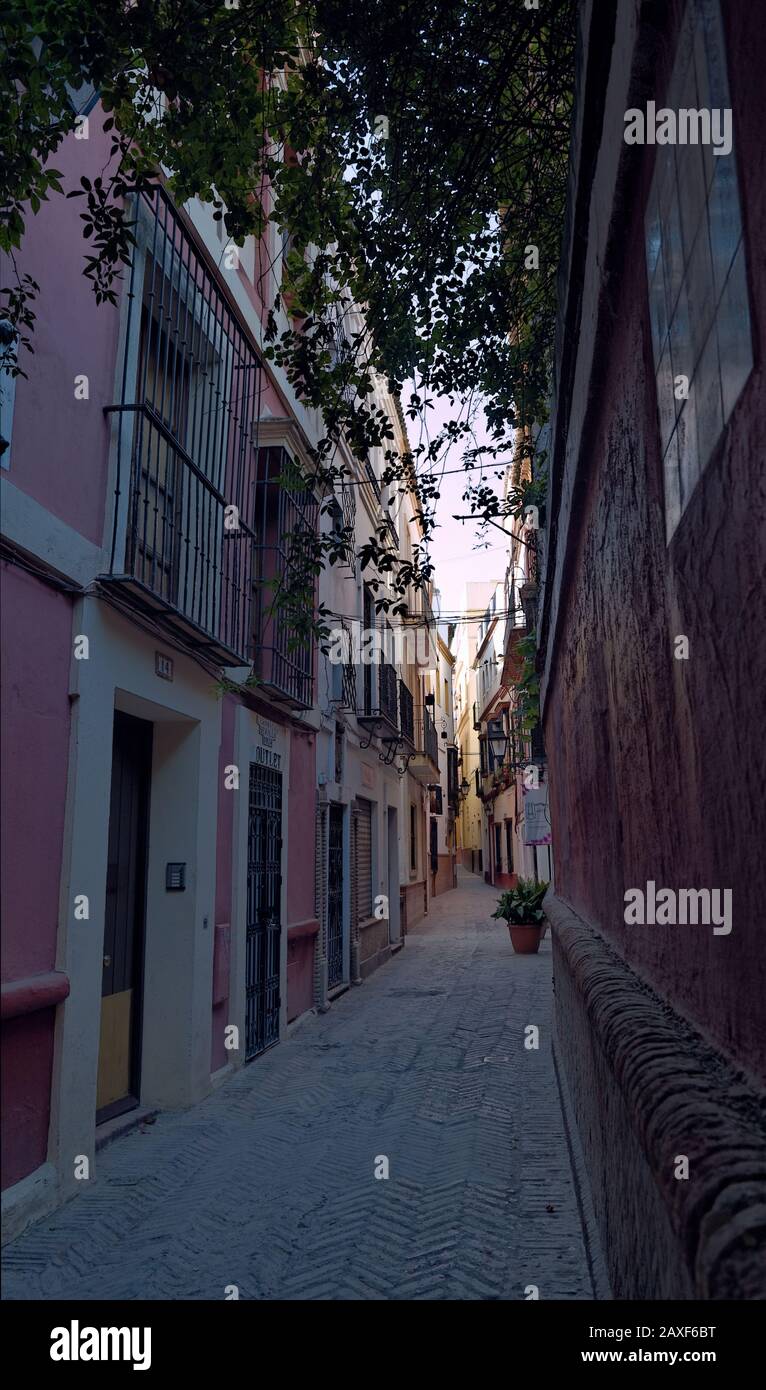 Vertical shot of a narrow passageway between two buildings Stock Photo ...