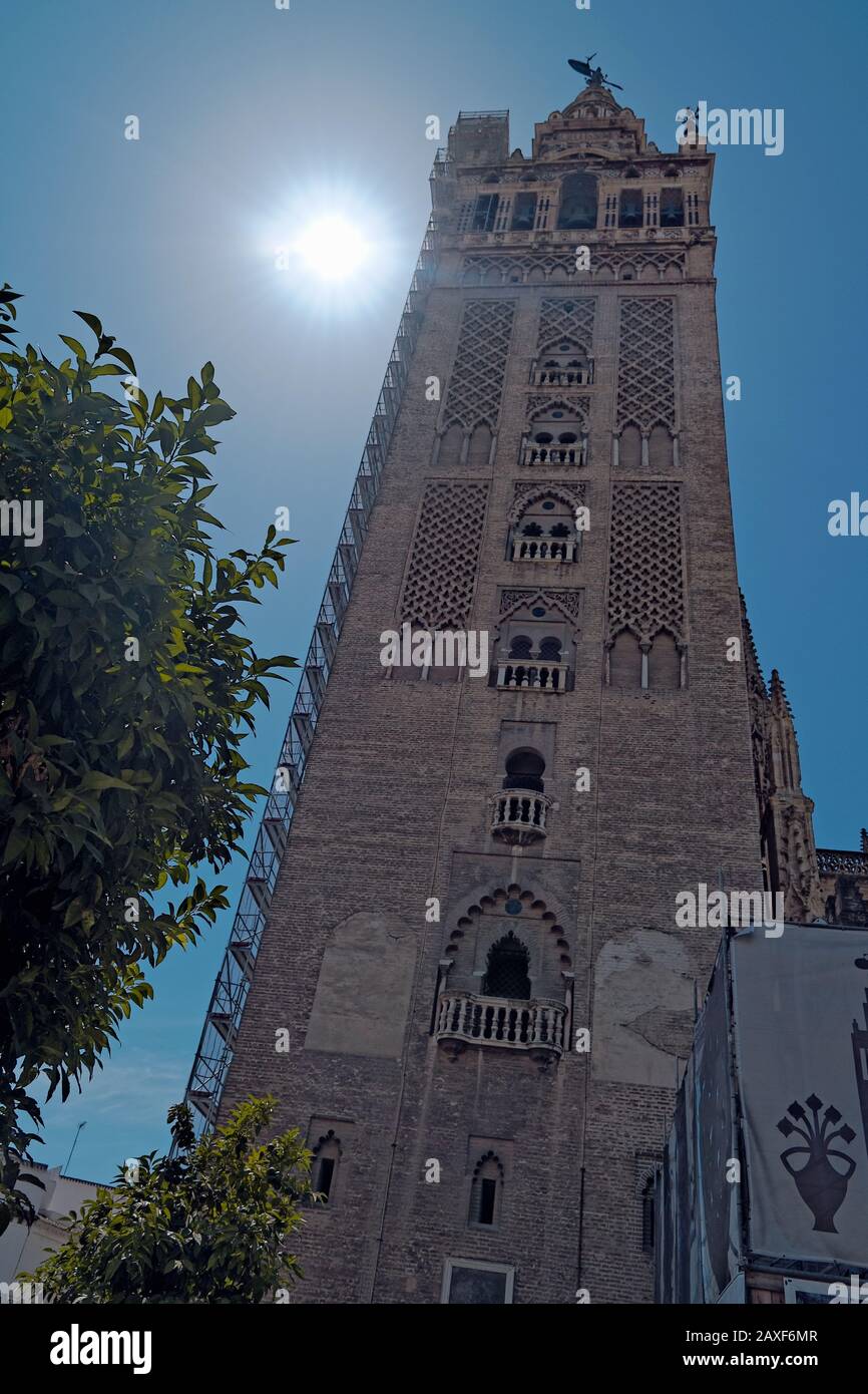 Vertical shot of the Catedral de Sevilla in Spain Stock Photo - Alamy