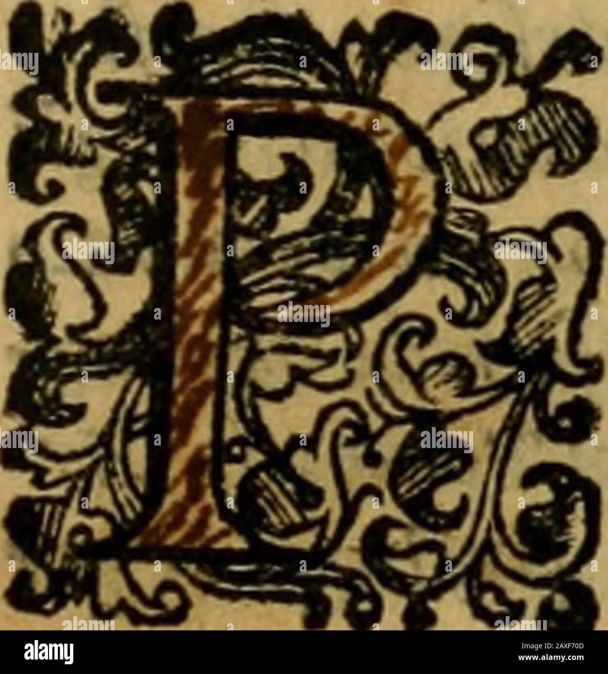 Topolo hi-res stock photography and images - Alamy