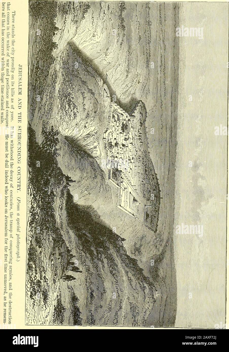 Jerusalem beetle hi-res stock photography and images - Alamy