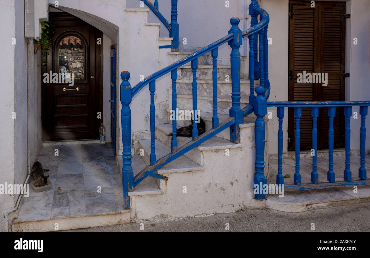 2 cats laying down on stairs with blue railing in front of a ...