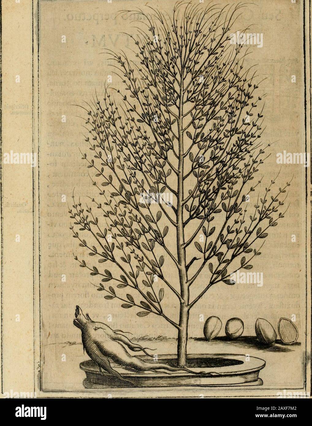 Cardc hi-res stock photography and images - Alamy