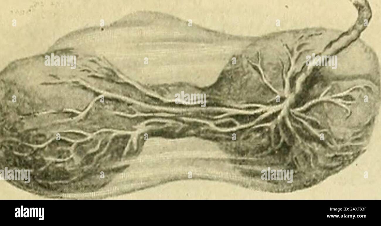The practice of obstetrics, designed for the use of students and ...