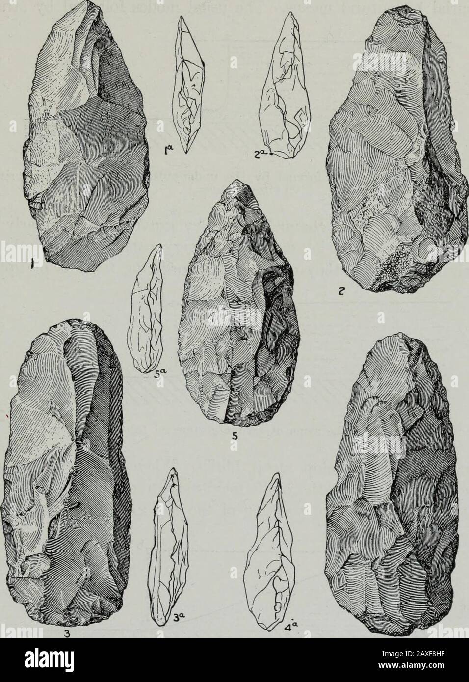 paleolithic arrows