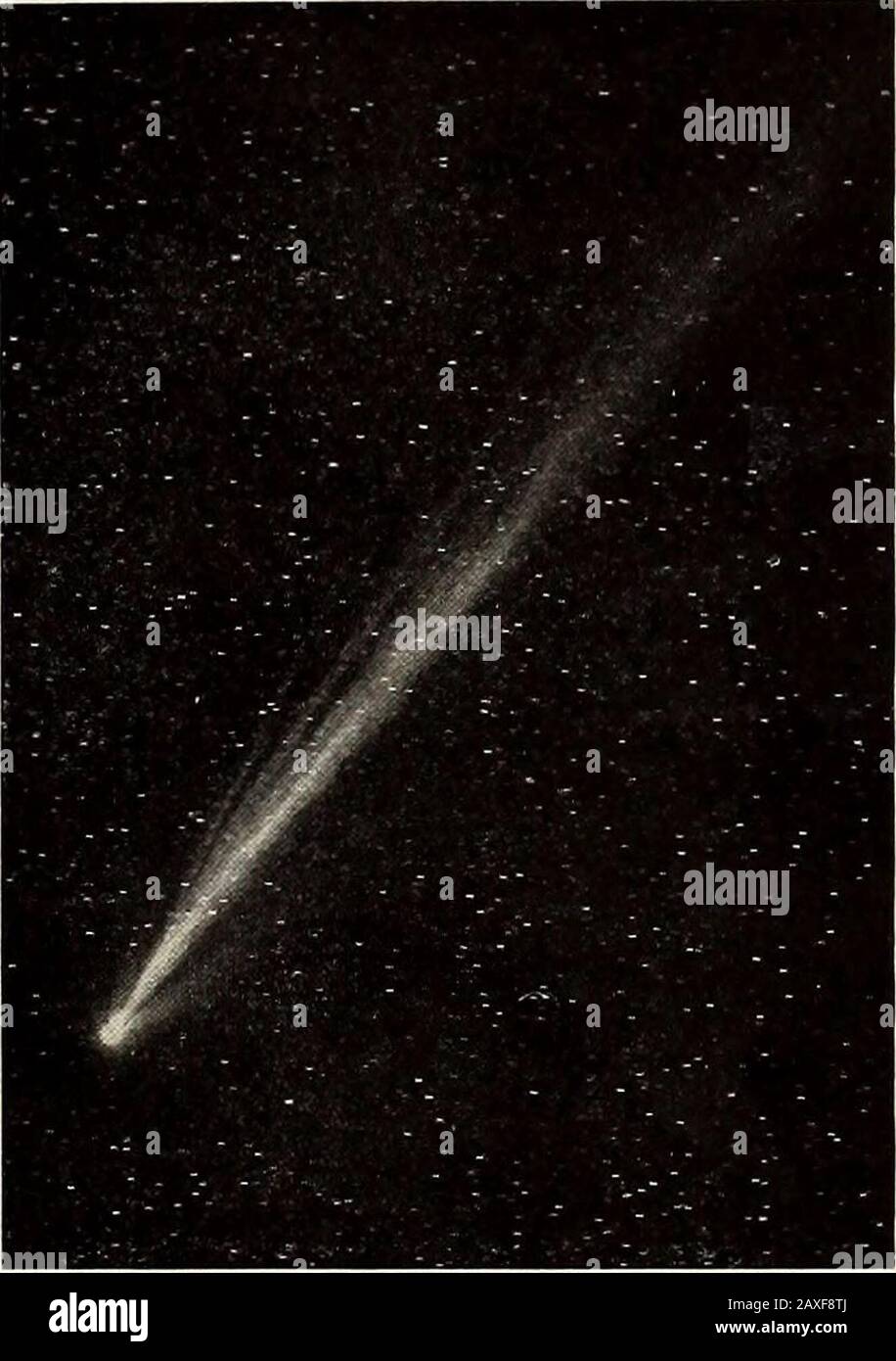 StNicholas [serial] . THE STRAY COMET THAT APPEARED LASTJANUARY, KNOWN ...