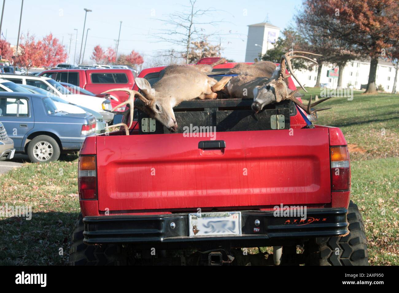 Deer Hunting And America High Resolution Stock Photography and Images ...