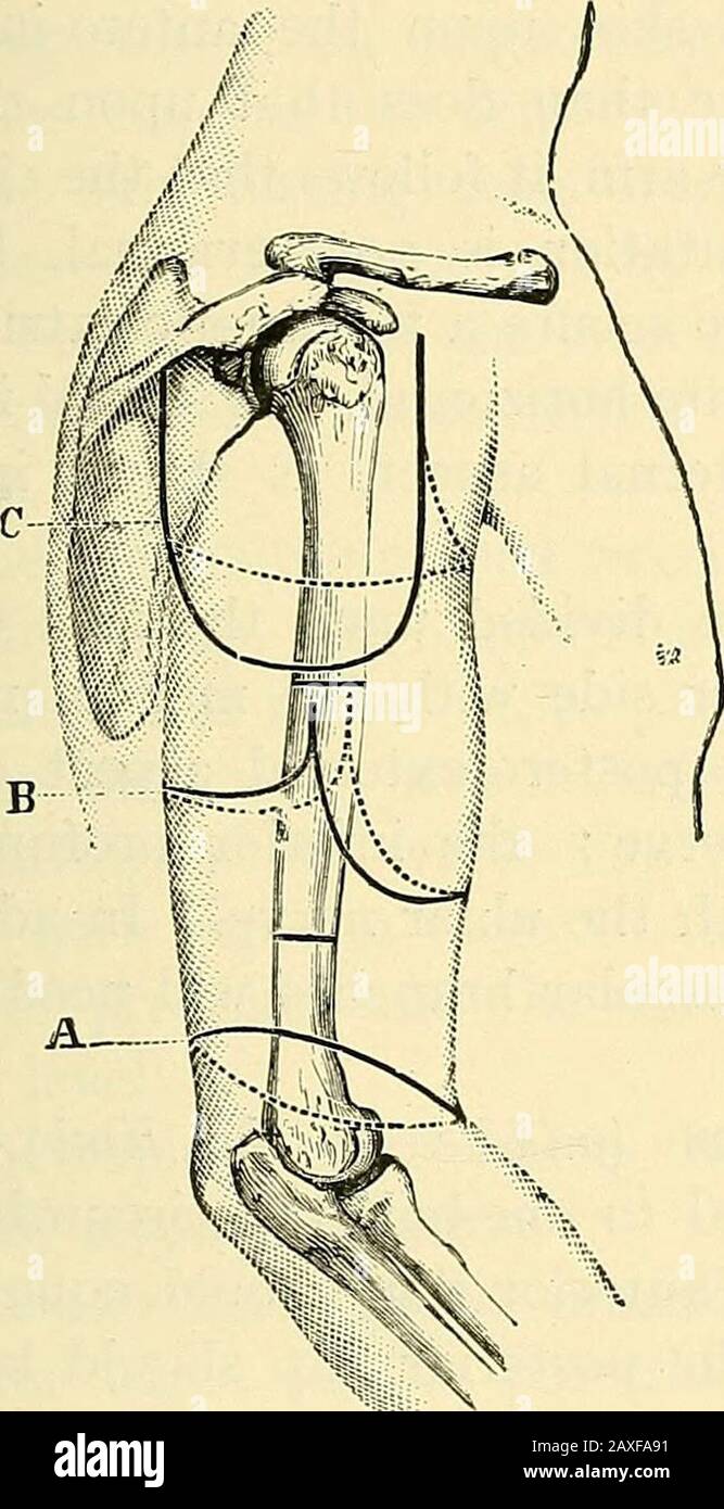 Wound in a circle hi-res stock photography and images - Alamy