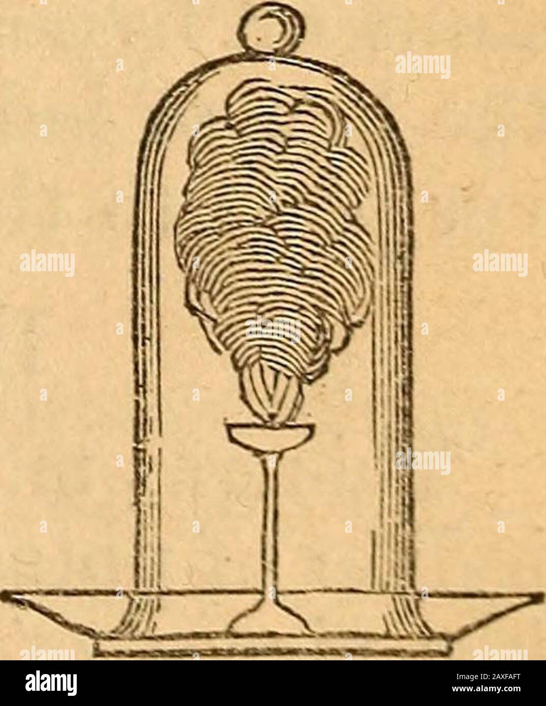 Phosphorus burns hi-res stock photography and images - Alamy