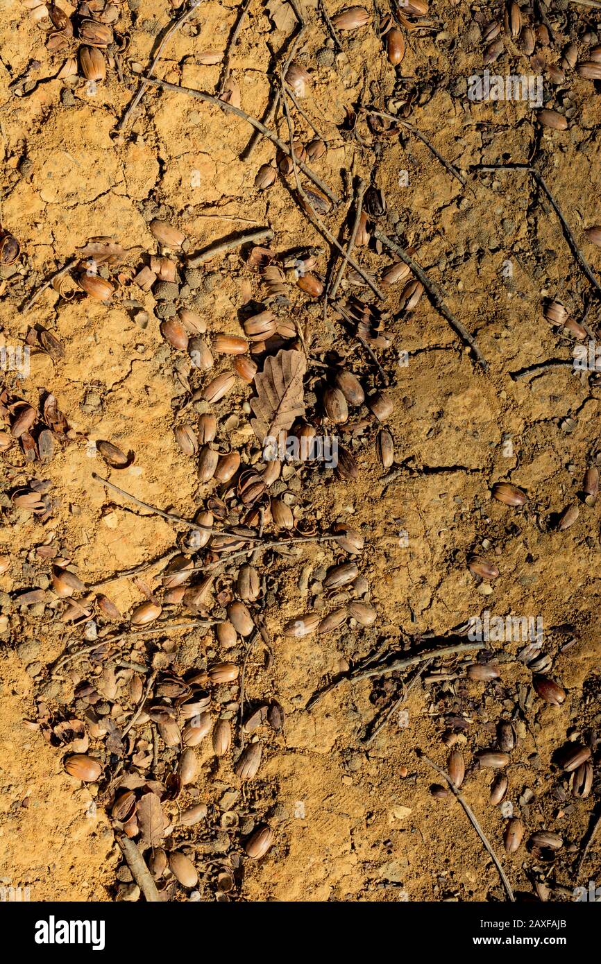 Cracked drought dry soil background as texture pattern Stock Photo - Alamy