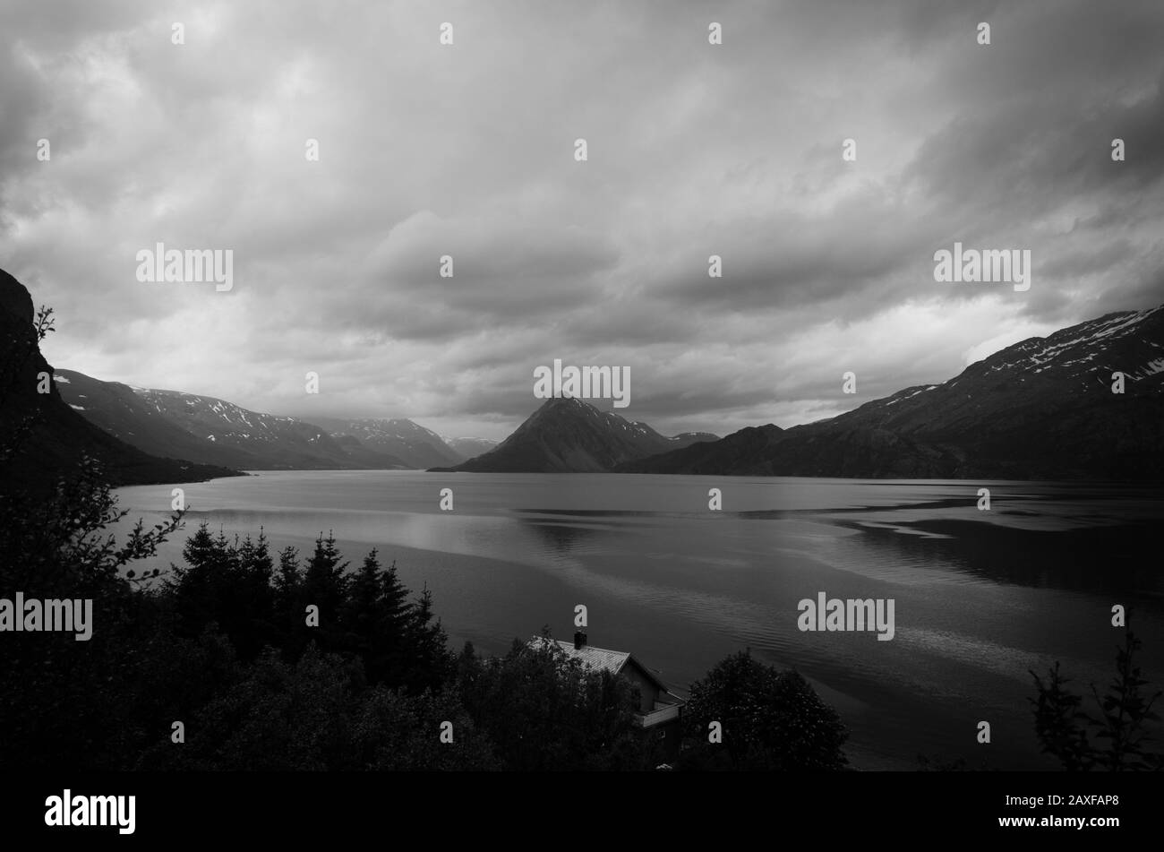 Scale surrounded Black and White Stock Photos & Images - Alamy