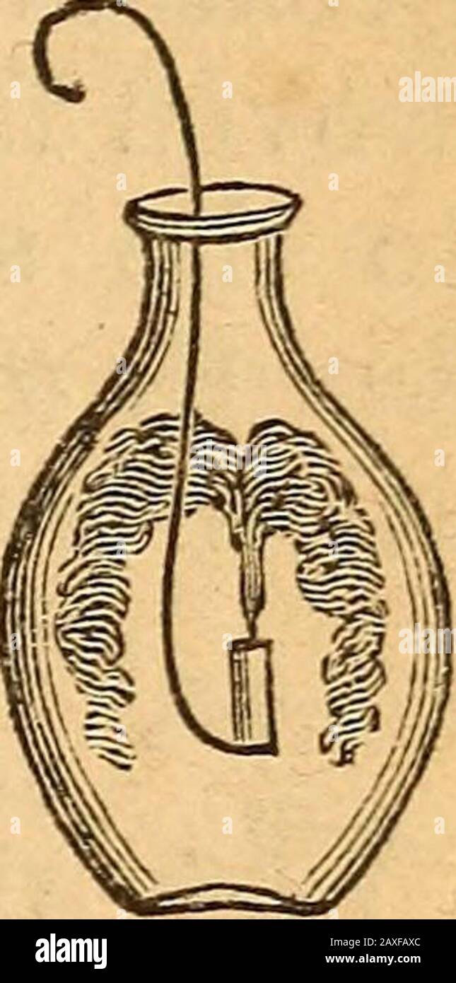 Phosphorus burns hi-res stock photography and images - Alamy