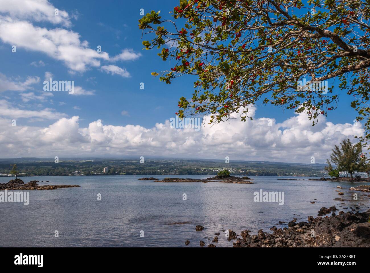 Hilo, Hawaii, USA. - January 9, 2012: Coastline with rocks and green ...