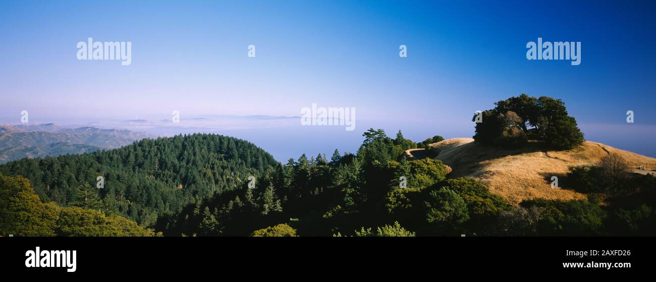 Over tree tops hi-res stock photography and images - Alamy