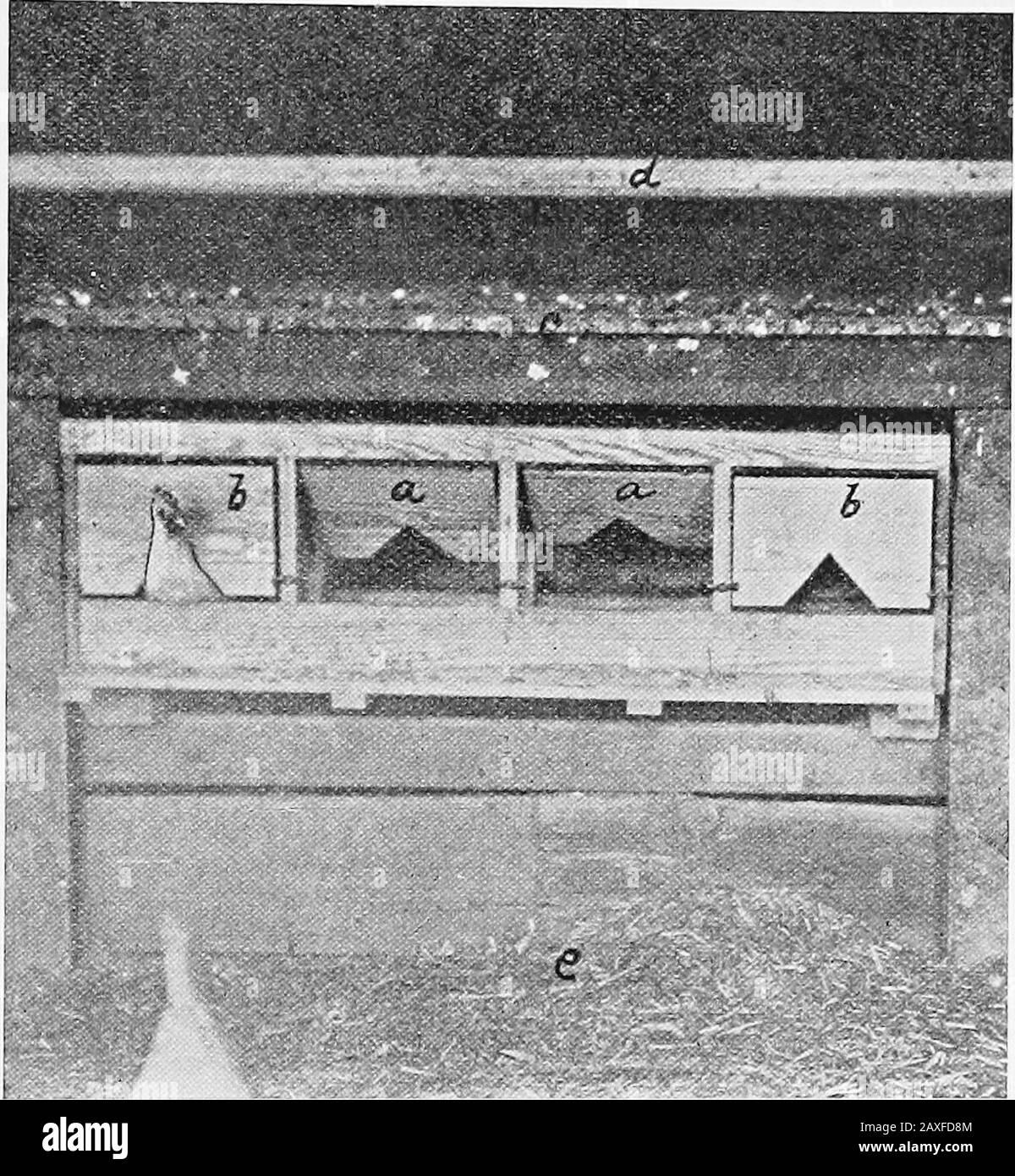 Poultry culture sanitation and hygiene . I /I / 9 U 6— u l^ -18 -/// f ...